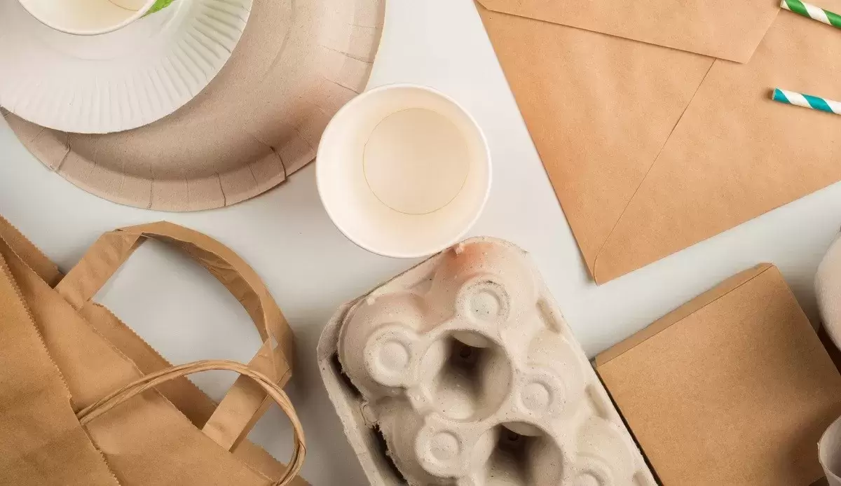 Recyclability Drives the Future of Fibre-Based Packaging | PACKNODE Pa