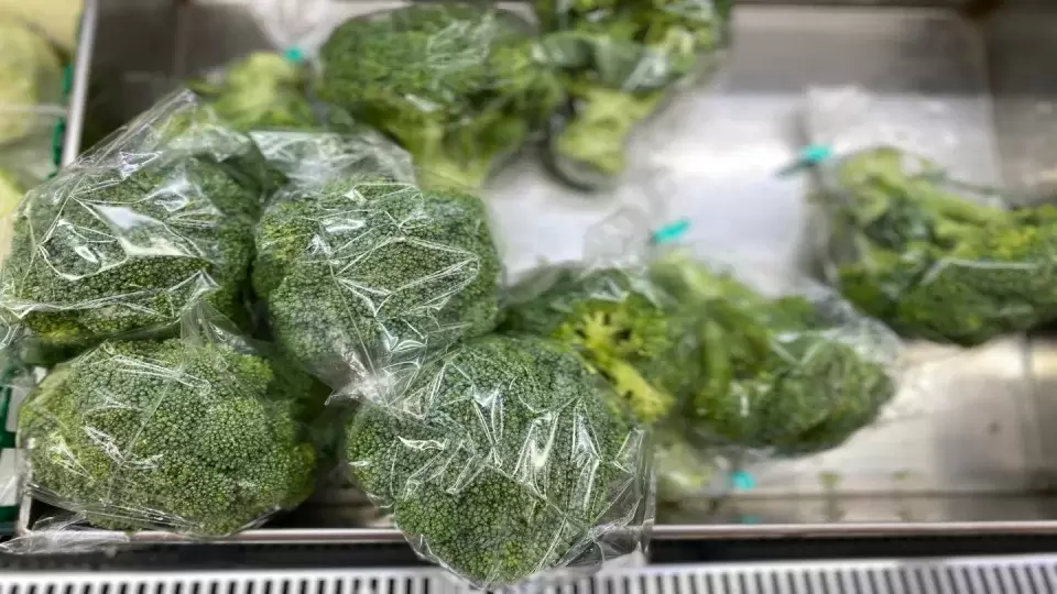 StePac Develops Sustainable Packaging Solution for Broccoli | PACKNODE