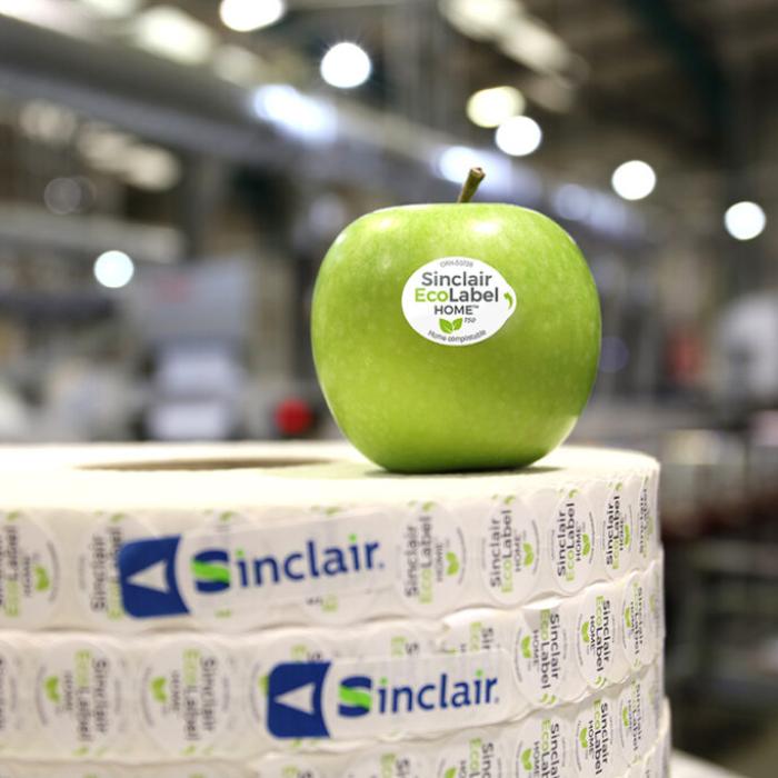 The Future of Biodegradable Plastics in Packaging | PACKNODE Packaging